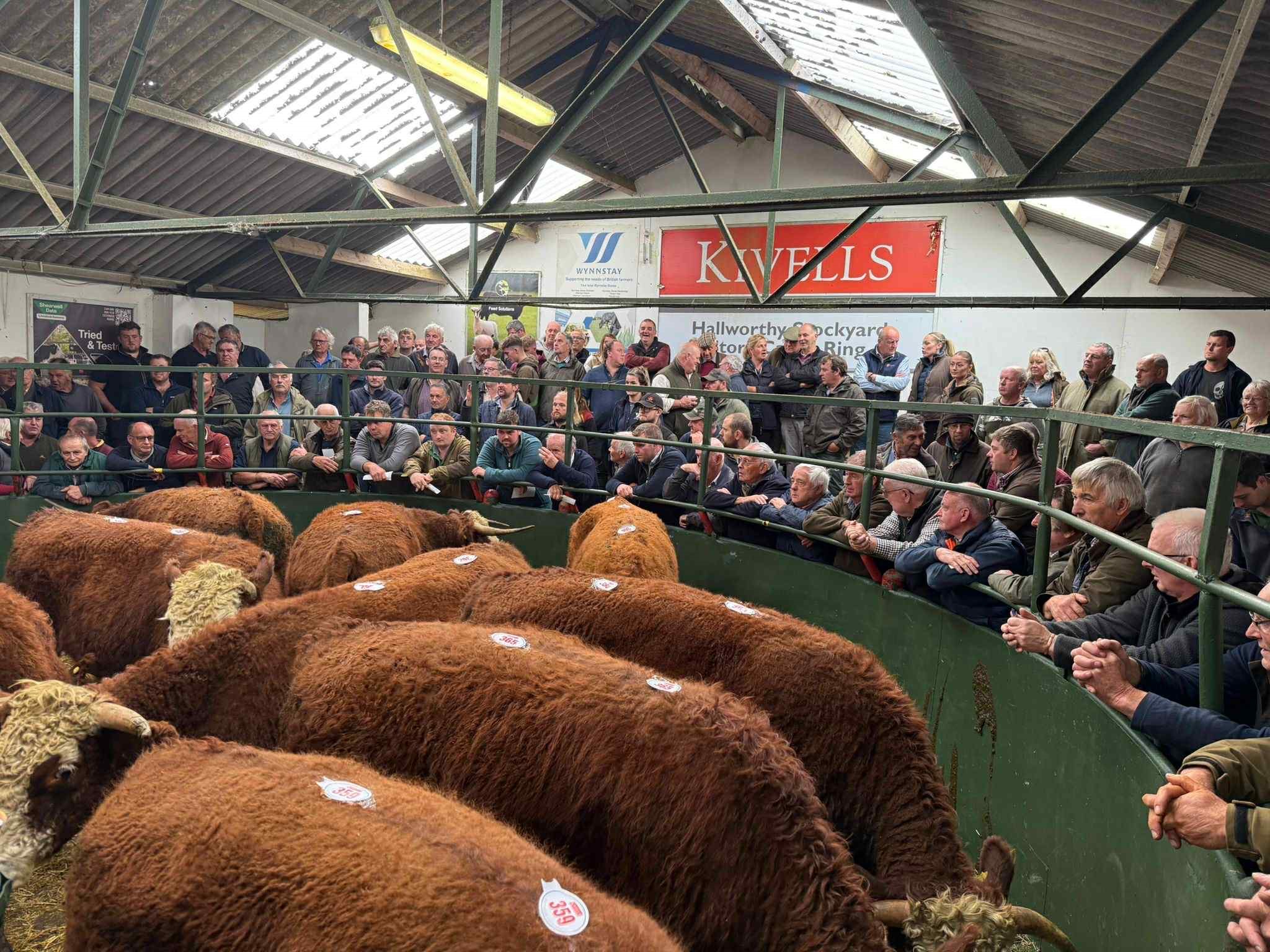 Agriculture and Livestock Market Reports | Kivells Estate Agents and ...